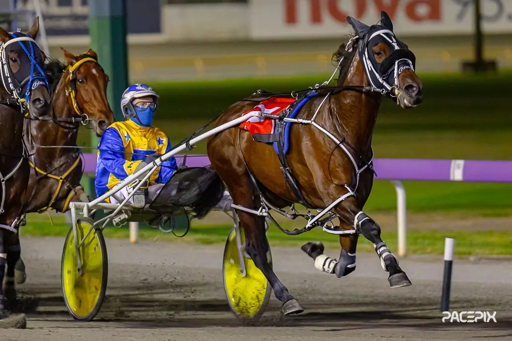 Home | Australian Harness Racing
