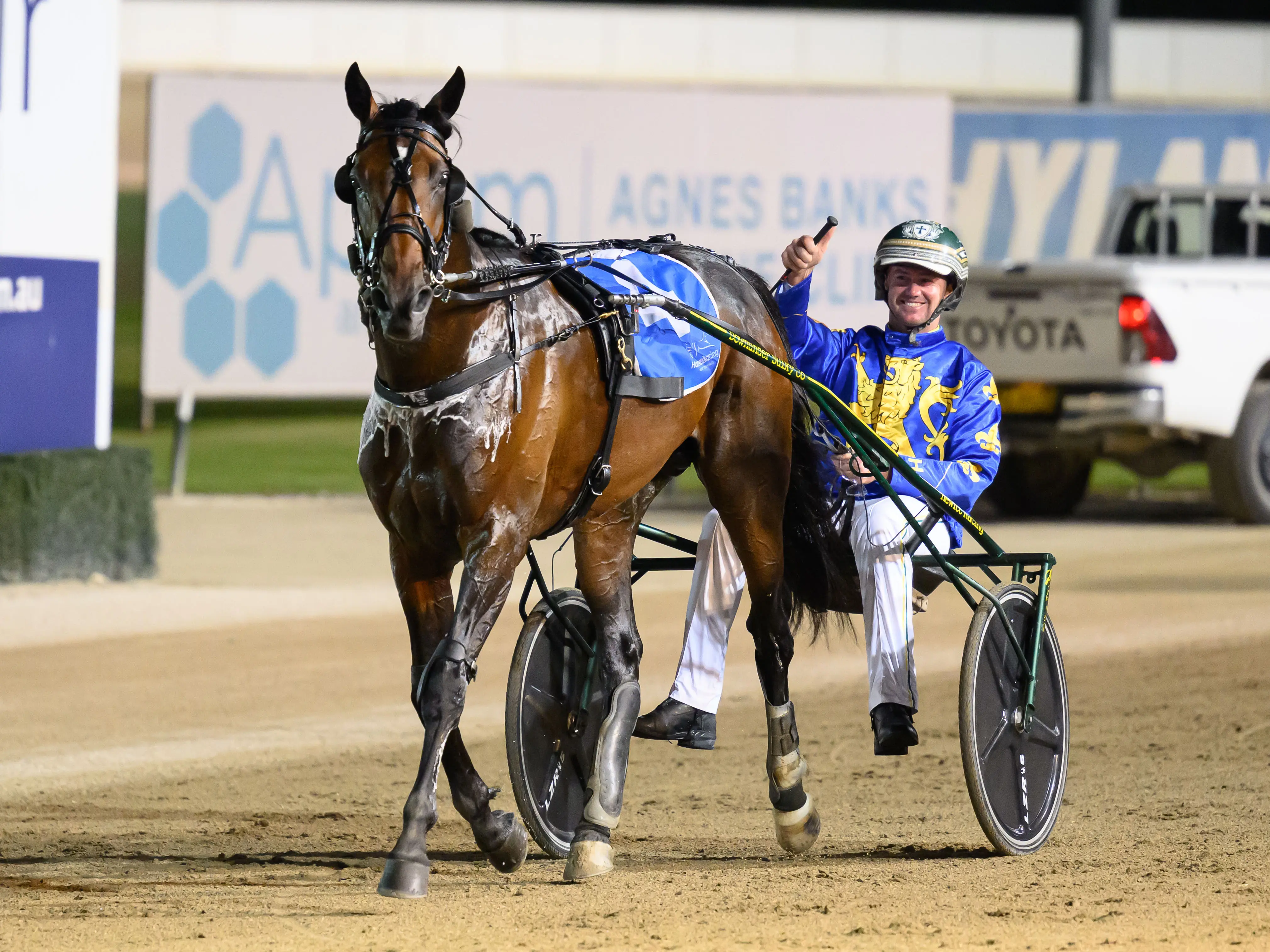 Home | Australian Harness Racing